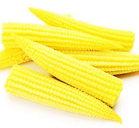 Fresh Vegetable Young Corn 250g Sbma Only