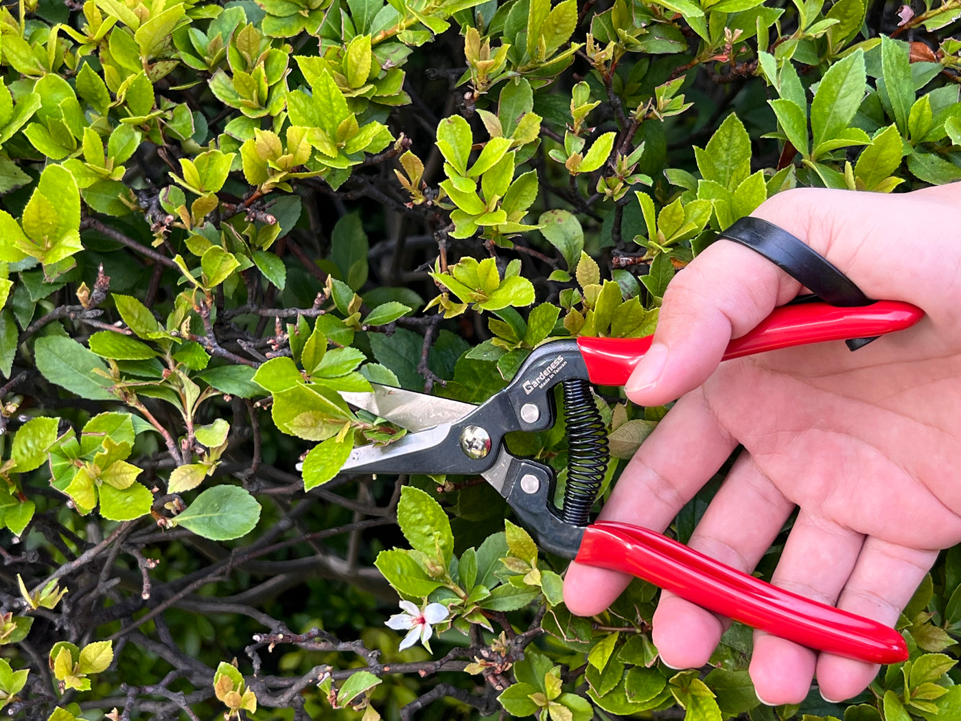 11. Garden Scissors