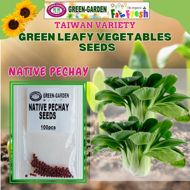 Native Pechay Seeds (100pcs/pack)