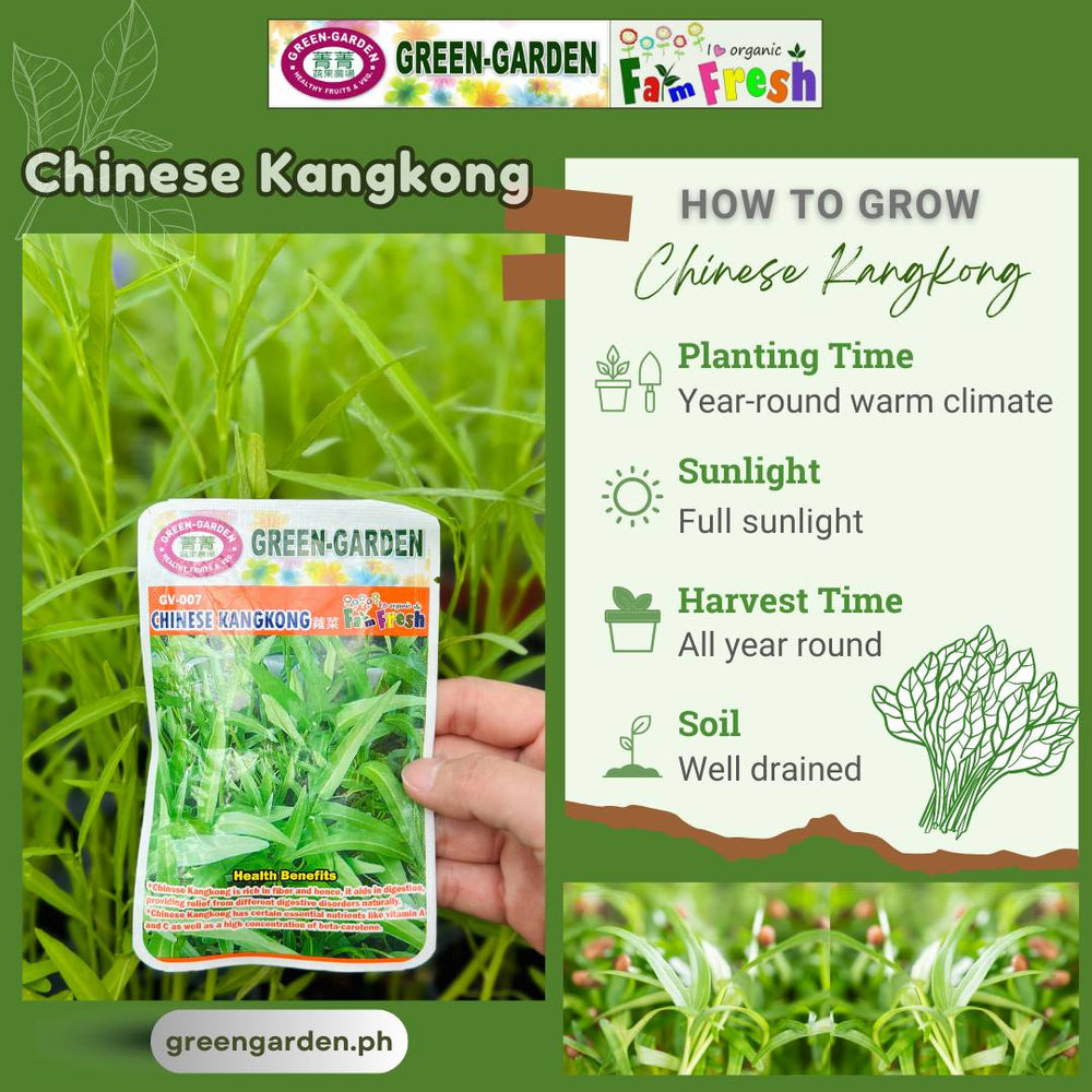 Green Garden Vegetable Seeds (GV-007 Kangkong)