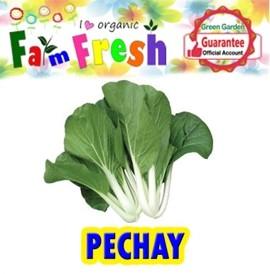 Native Pechay Seeds (100pcs/pack)