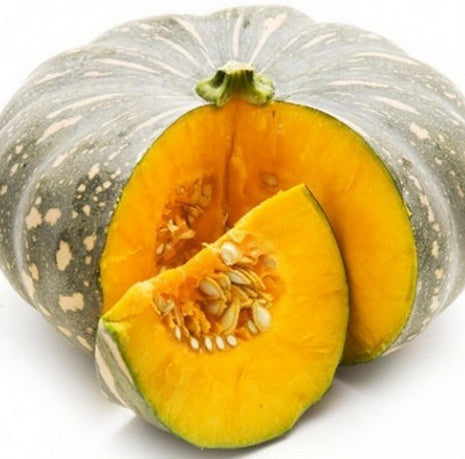 Fresh Vegetable Squash (per pc) "SBMA ONLY"(2-3kgs)