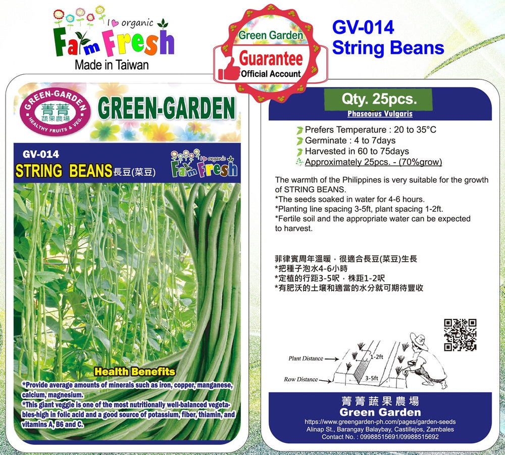 Green Garden Vegetable Seeds (GV-014 String Beans)