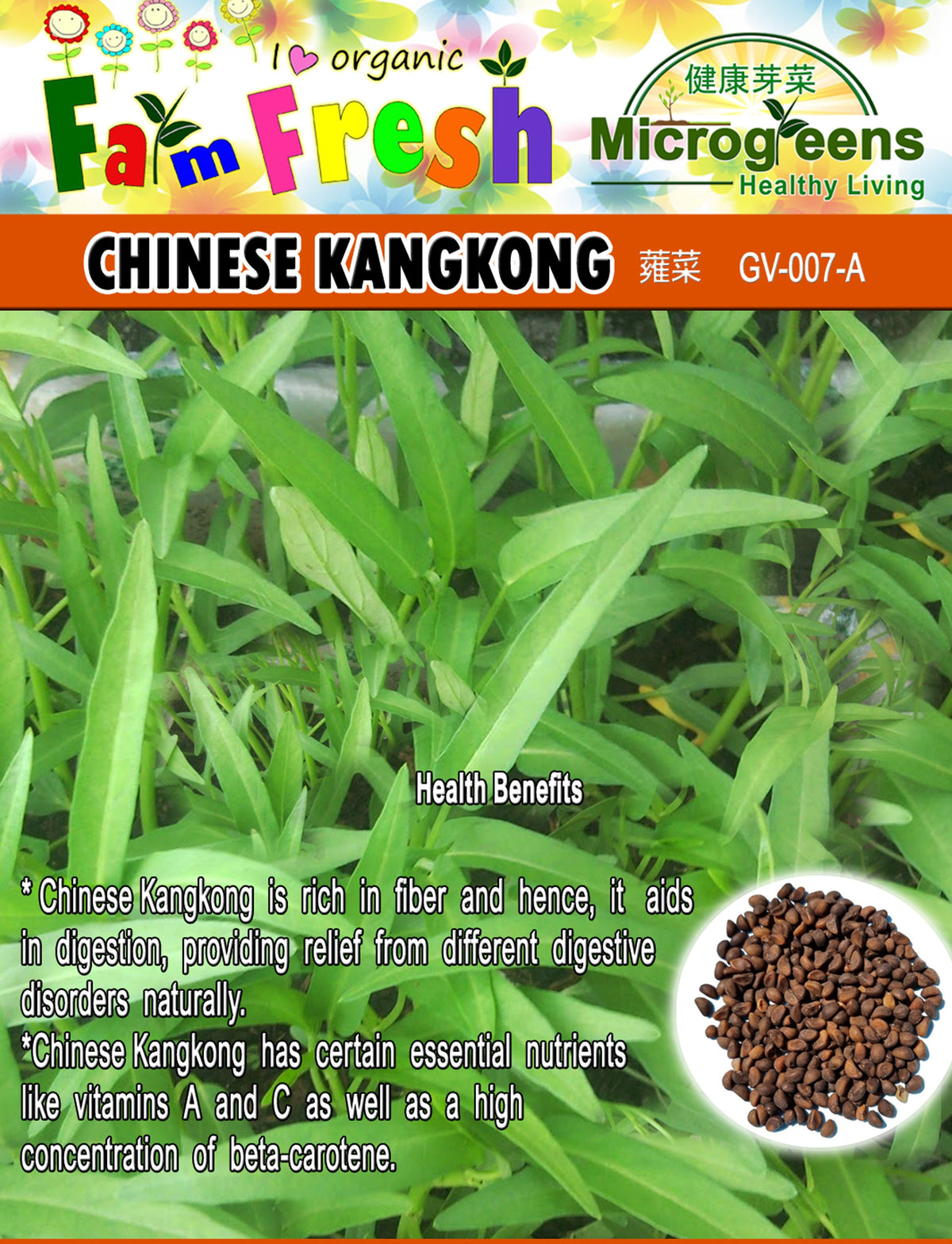 08. Larger Packed Seeds