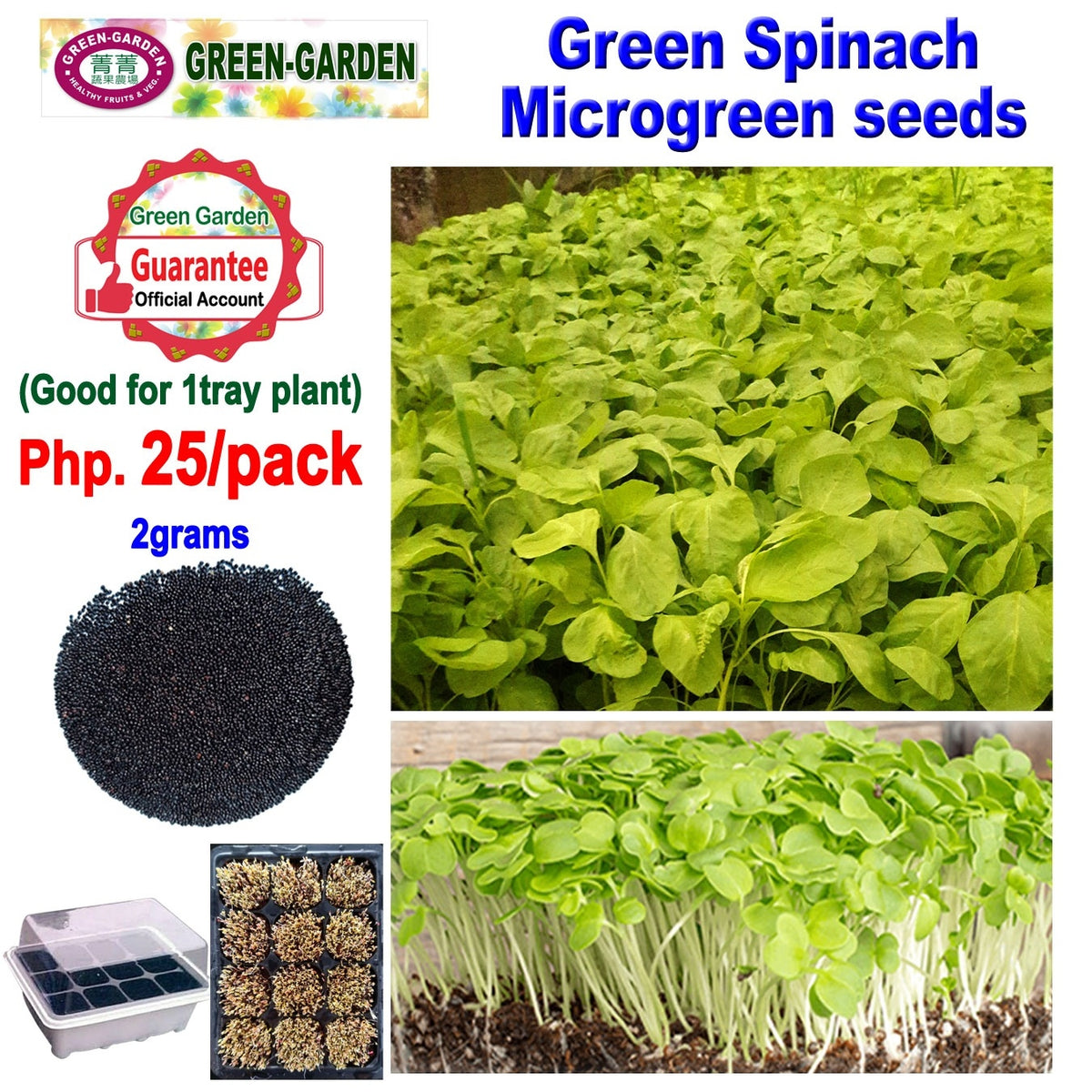 Microgreens Vegetable Seeds