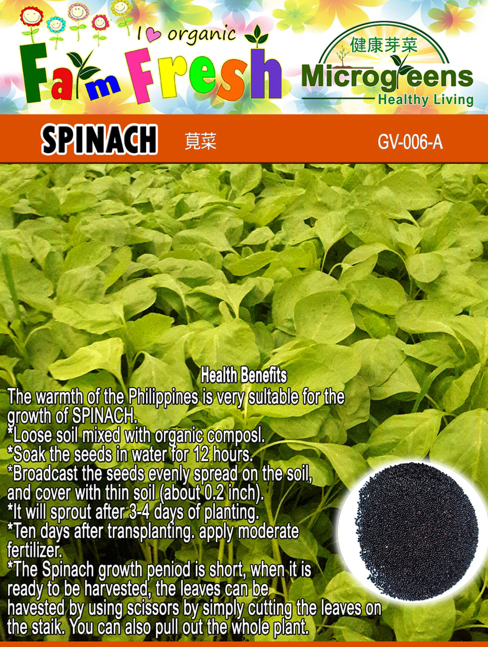 Spinach Seeds (Herbs & Vegetable Seeds , Larger Packed)