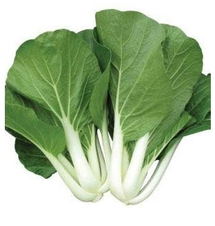 Fresh Vegetable Native Pechay (200grams) "SBMA ONLY"